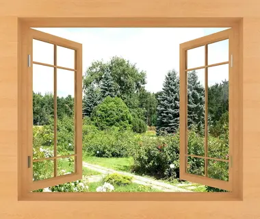 Wall mural View from the window to the forest | Uwalls.com