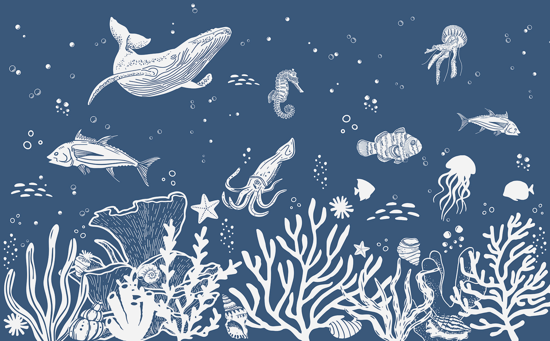 Cute Sea Life Pictures