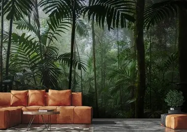 Wallpaper A tropical forest Nr. u72344 | Uwalls.com