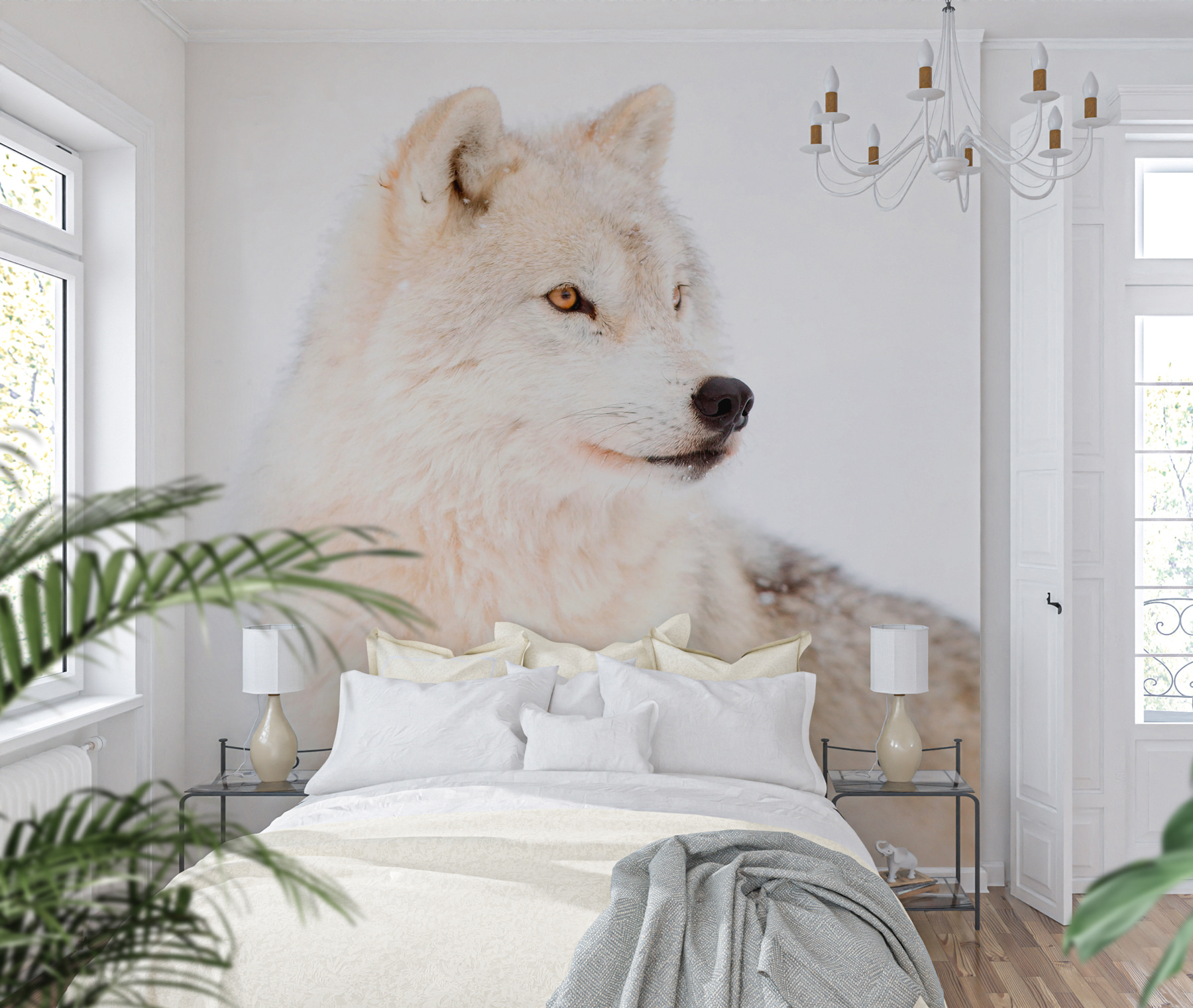 Wall Mural Photo Wallpaper Arctic wolf on white background Nr. u98189 ...